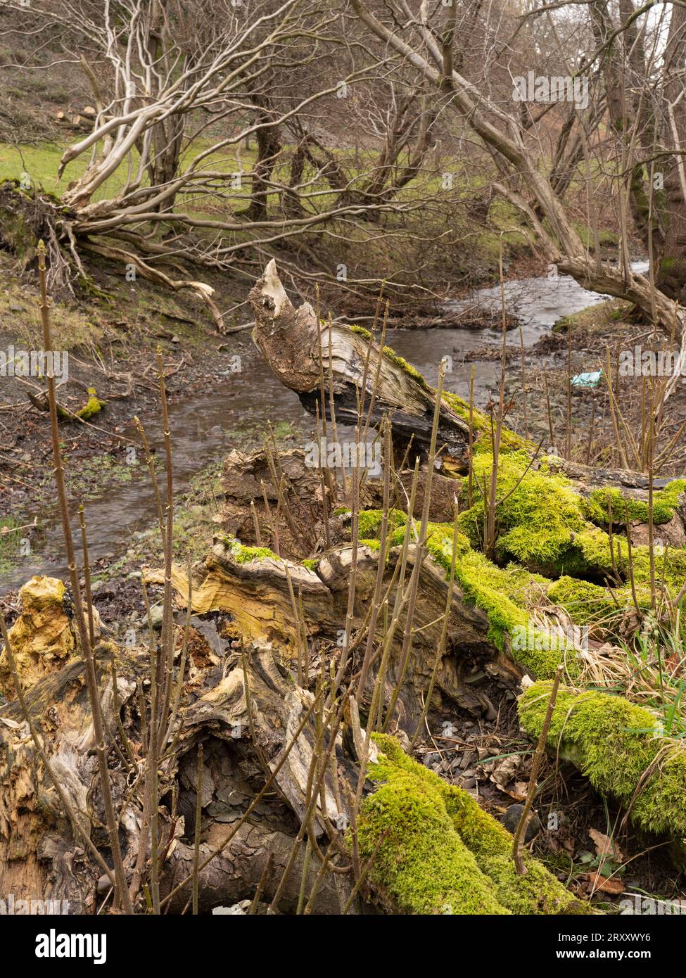 Interlocking spurs in shropshire hi-res stock photography and images ...