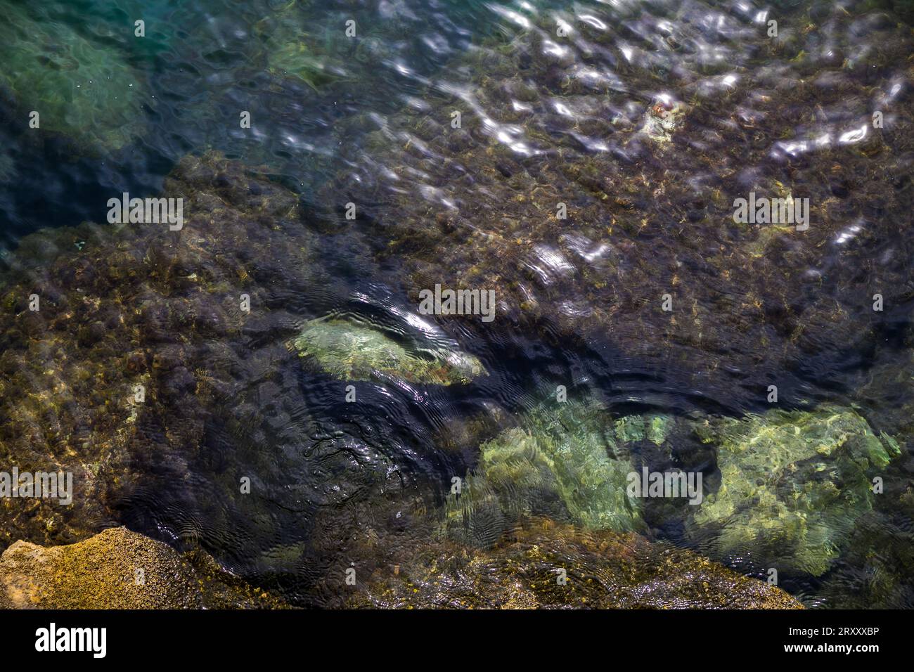 Top view on sea water with underwater stones, nature background Stock ...