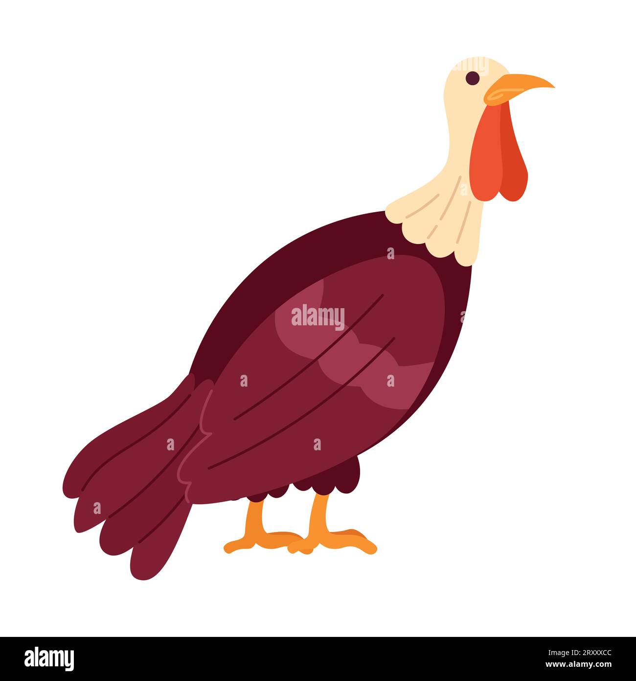 Domestic turkey bird 2D cartoon character Stock Vector Image & Art - Alamy