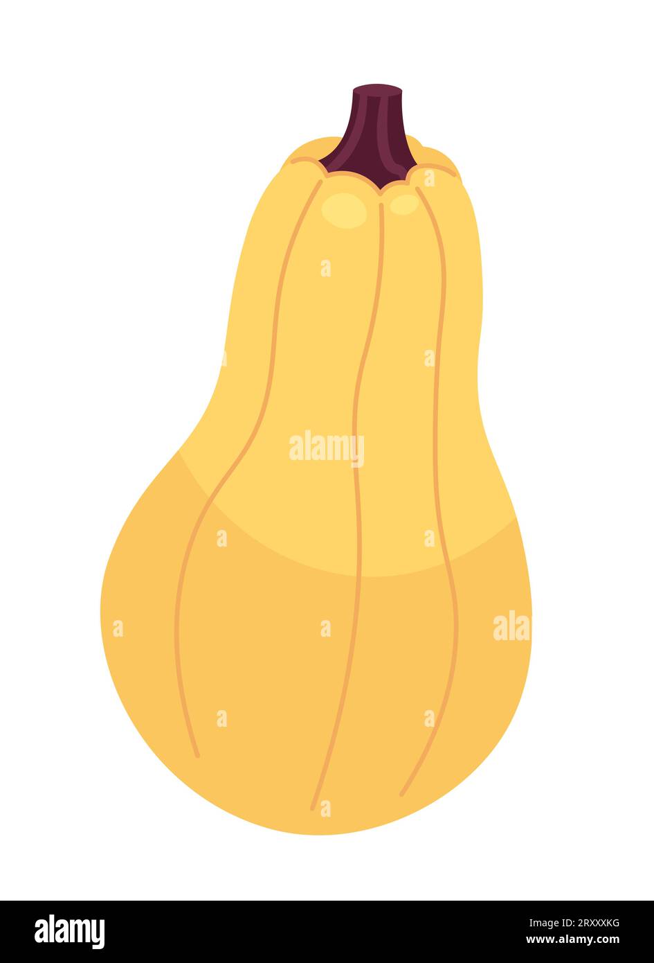 Gourd fall plant 2D cartoon object Stock Vector Image & Art - Alamy