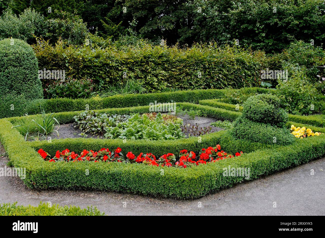 Box hedges hi-res stock photography and images - Alamy