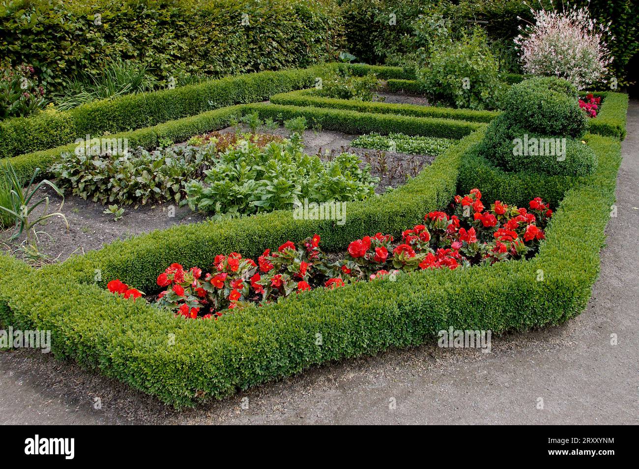 Box hedges hi-res stock photography and images - Alamy