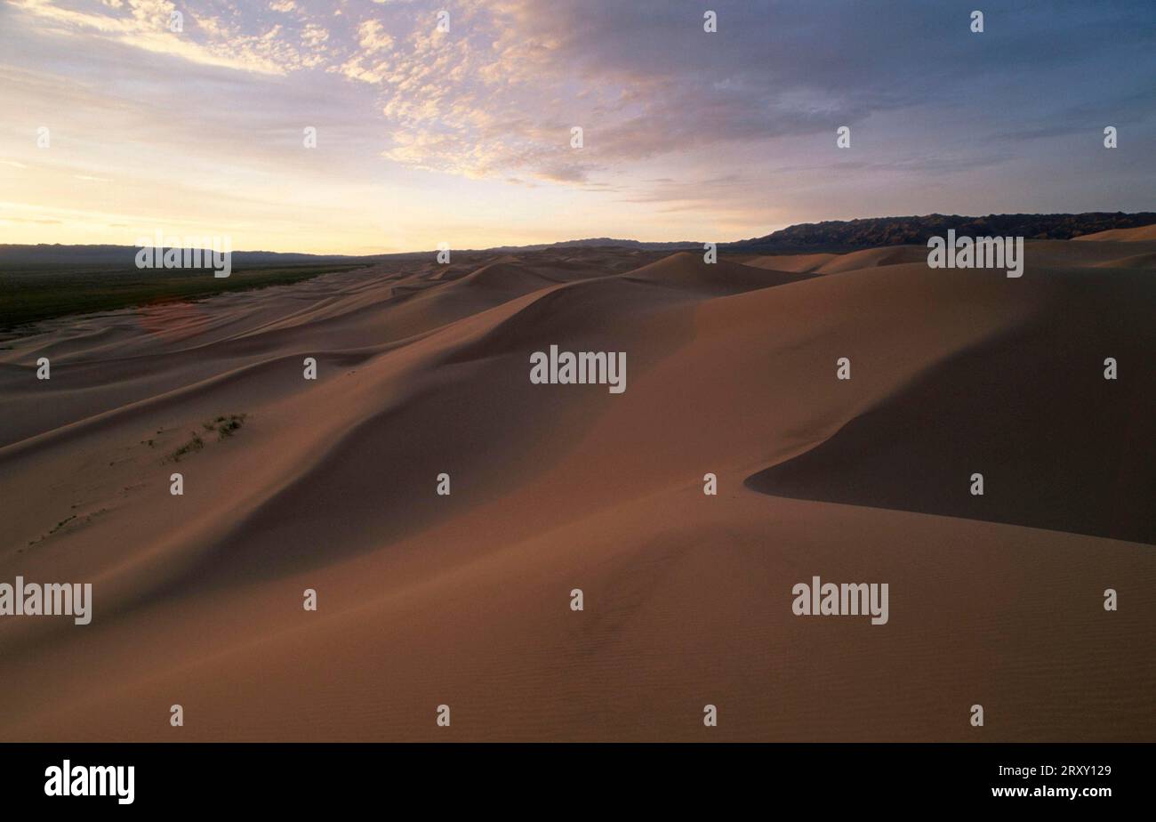Sand Dunes 'Singing Sands', Gobi Desert, Mongolia Stock Photo - Alamy