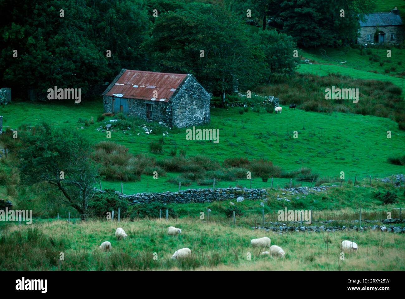 Farming landscape county donegal hi-res stock photography and images ...