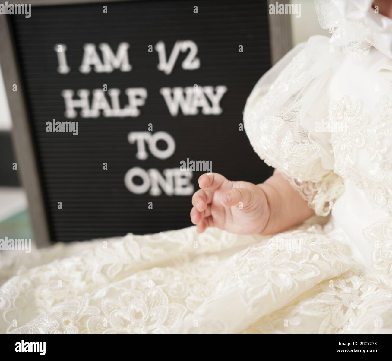 little baby girl photoshoot only hand. half way birthday photoshoot ...