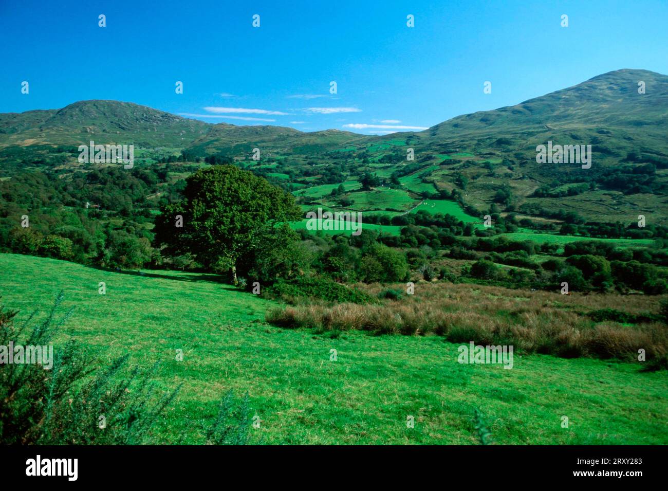 Shehy mountains ireland hi-res stock photography and images - Alamy