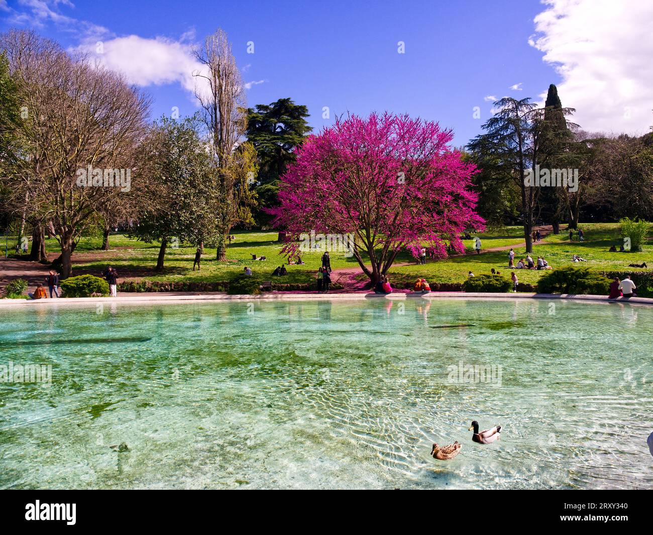 Lake in Villa Borghese Pincio Gardens, Rome, Italy Stock Photo - Alamy