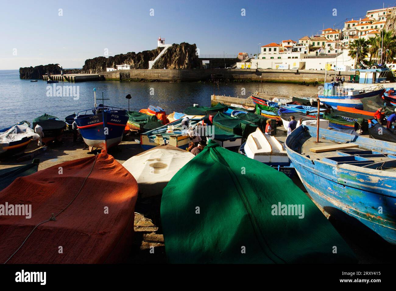 Portugal, Madeira, fishing boats at the harbour of Camara de Lobos ...