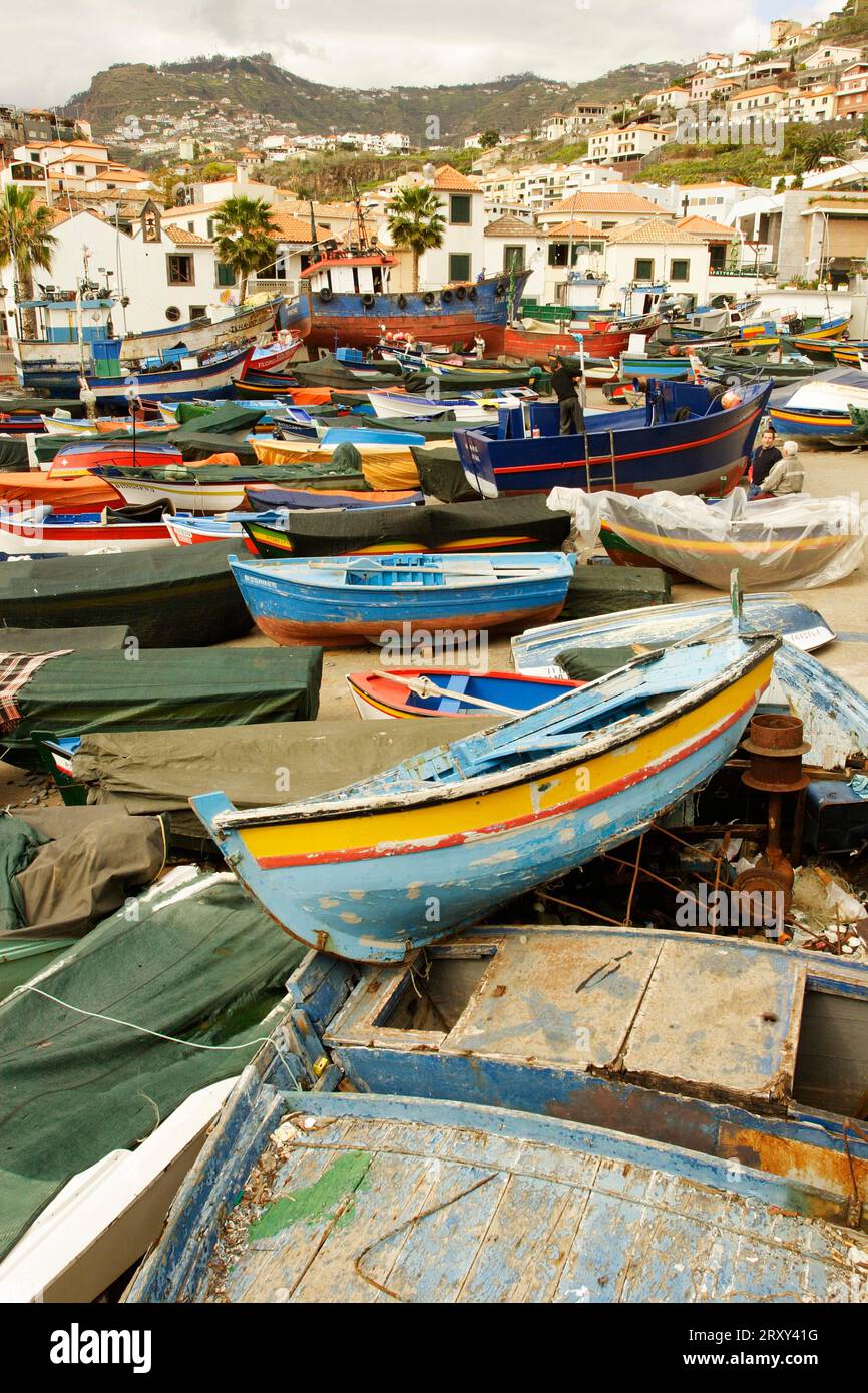 Portugal, Madeira, fishing boats at the harbour of Camara de Lobos ...