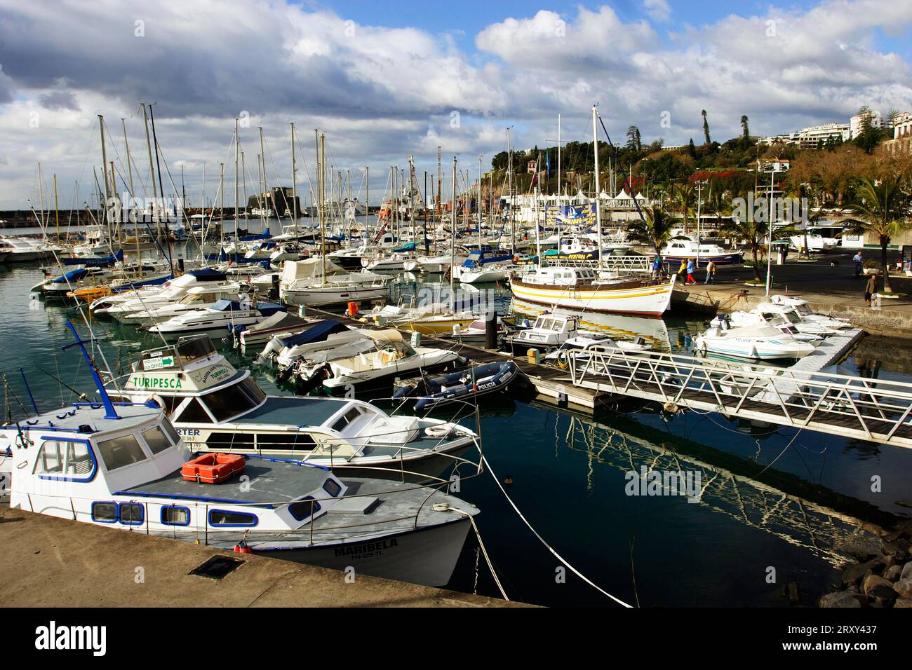 Harbour wall funchal madeira hi-res stock photography and images - Alamy