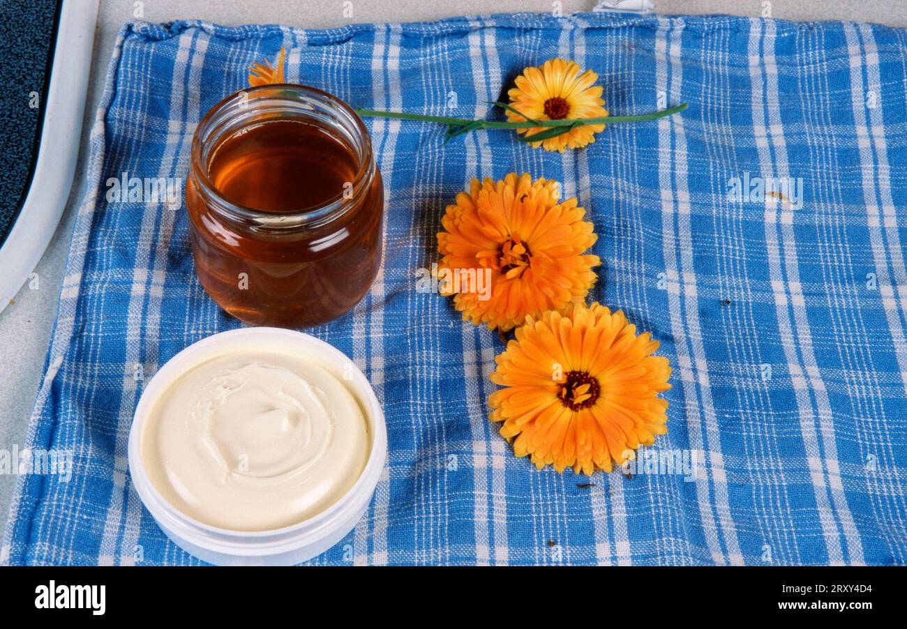 Preparation of Common Calendula (Calendula officinalis), preparation of ...
