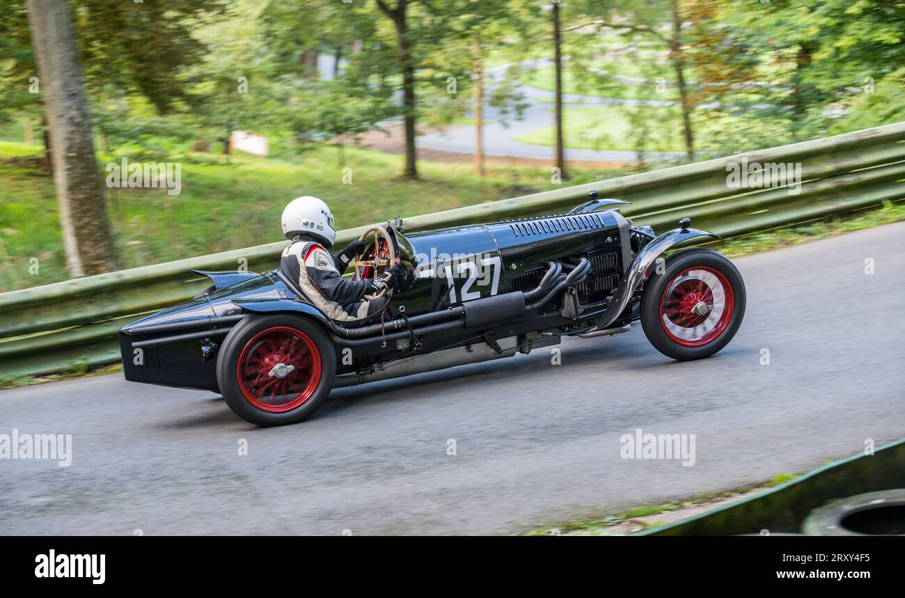 Ac gn beetle hi-res stock photography and images - Alamy