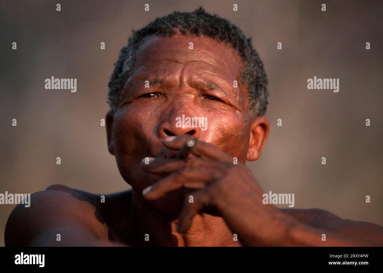 Bushman, africa, San, Bushmen, Bushmen, people, people, portrait ...