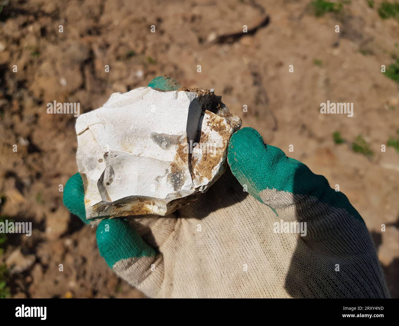 A fragment of white siliceous rock with a conchoidal fracture Stock ...