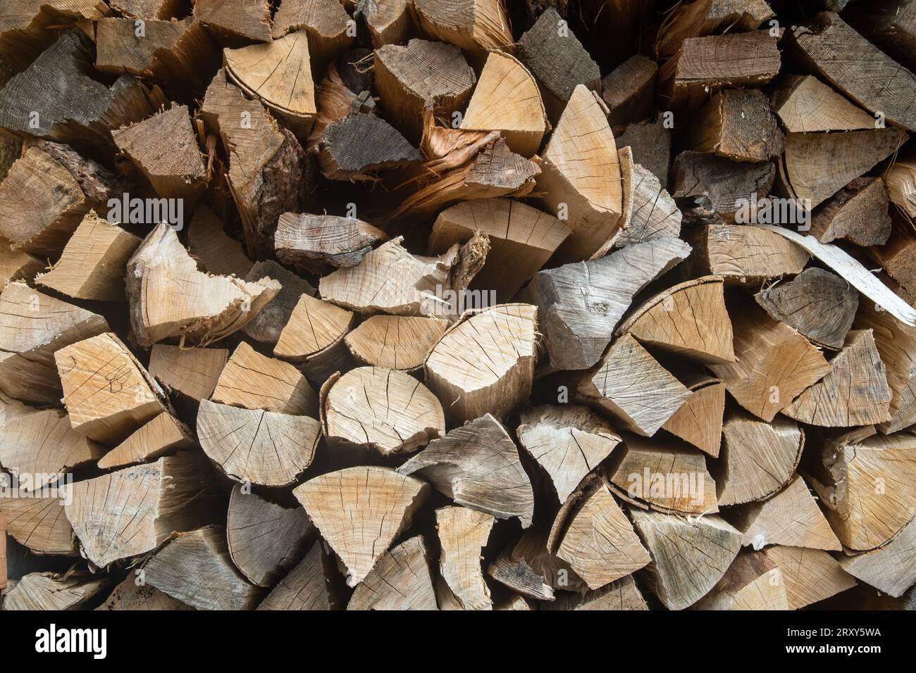 Split logs in a wood pile shot close up for use as a background Stock ...