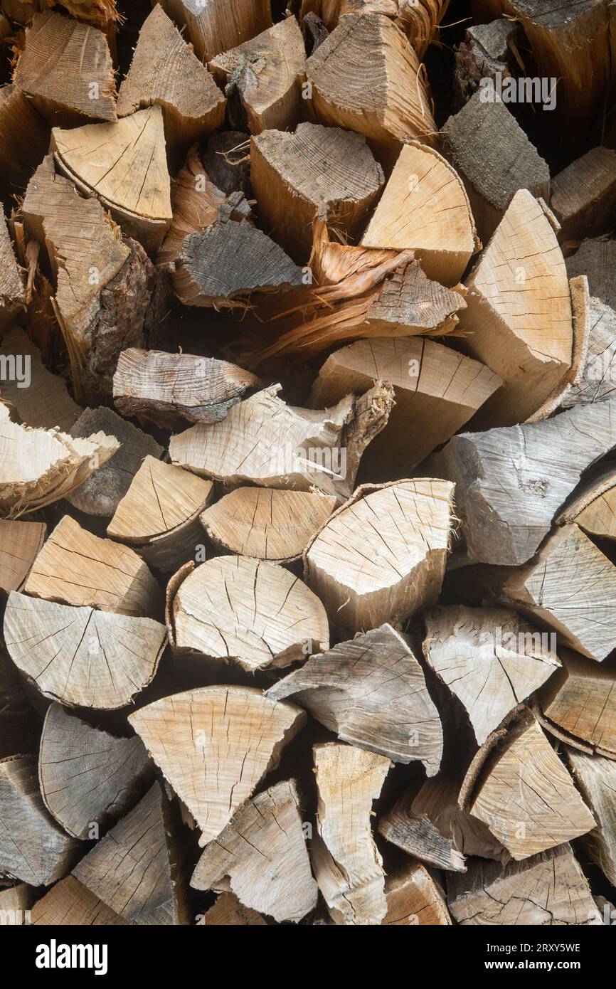 Split logs in a wood pile shot close up for use as a background Stock ...