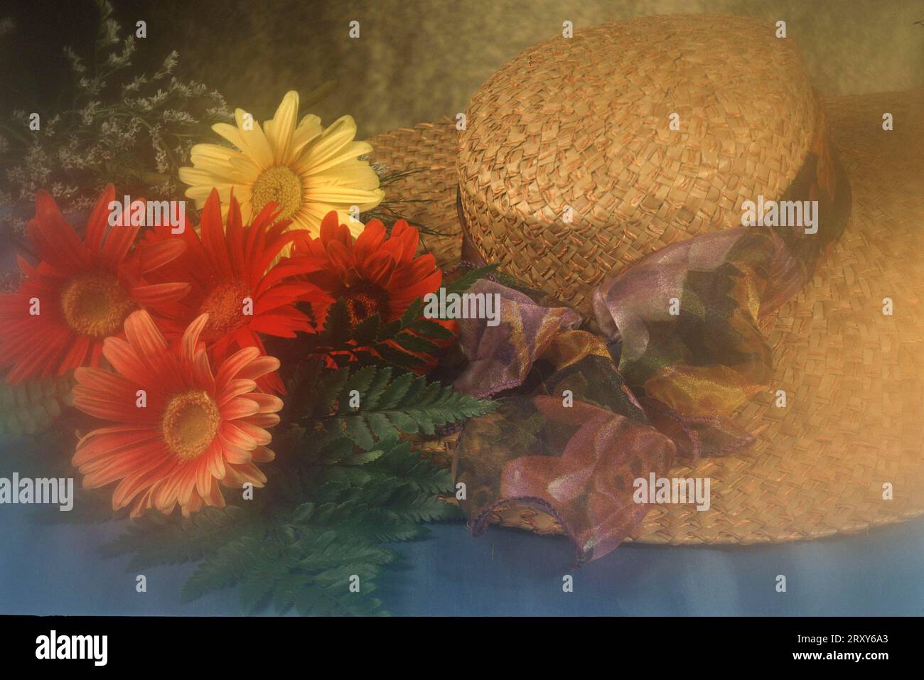 Bouquet of Gerber daisy (Gerber daisy) and straw hat, bouquet of ...