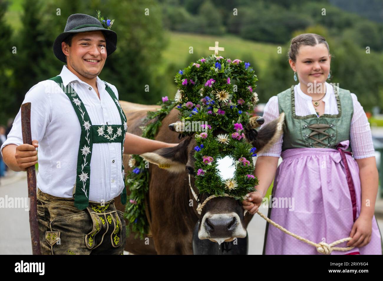 Alpine children leading alpine cattle, boy and girl in traditional ...