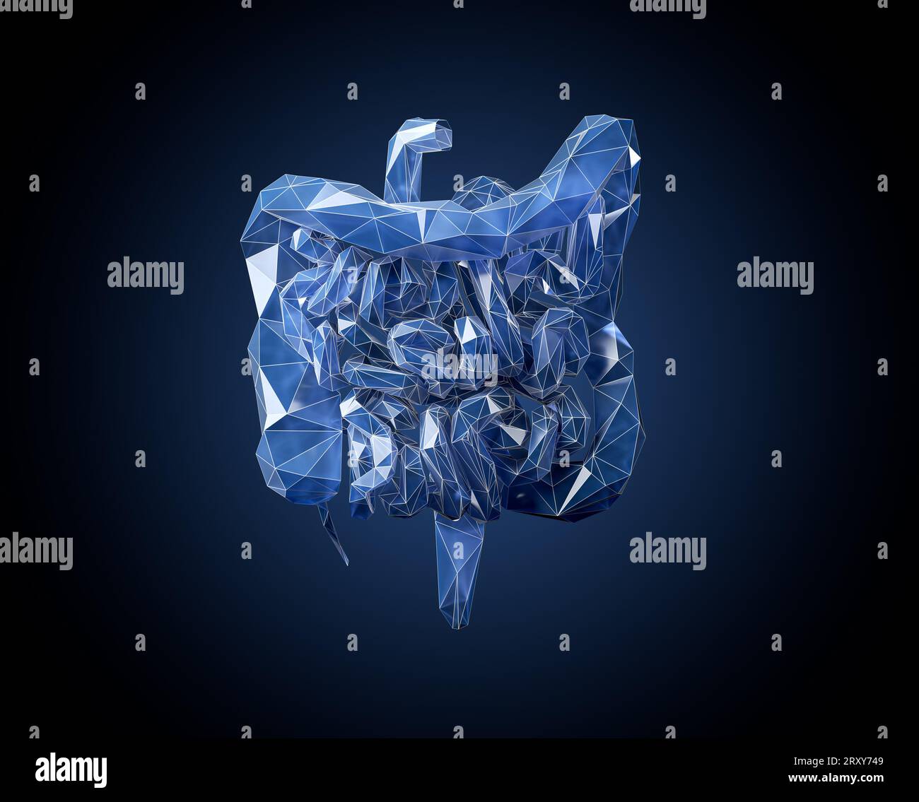 3d illustration of abstract low poly human internal organ - intestine ...