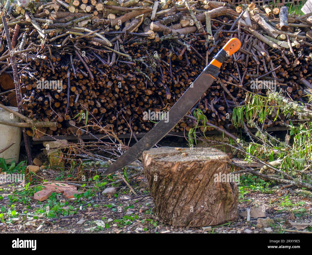 An old a very used machete stuck in a trunk with some firewood in the ...