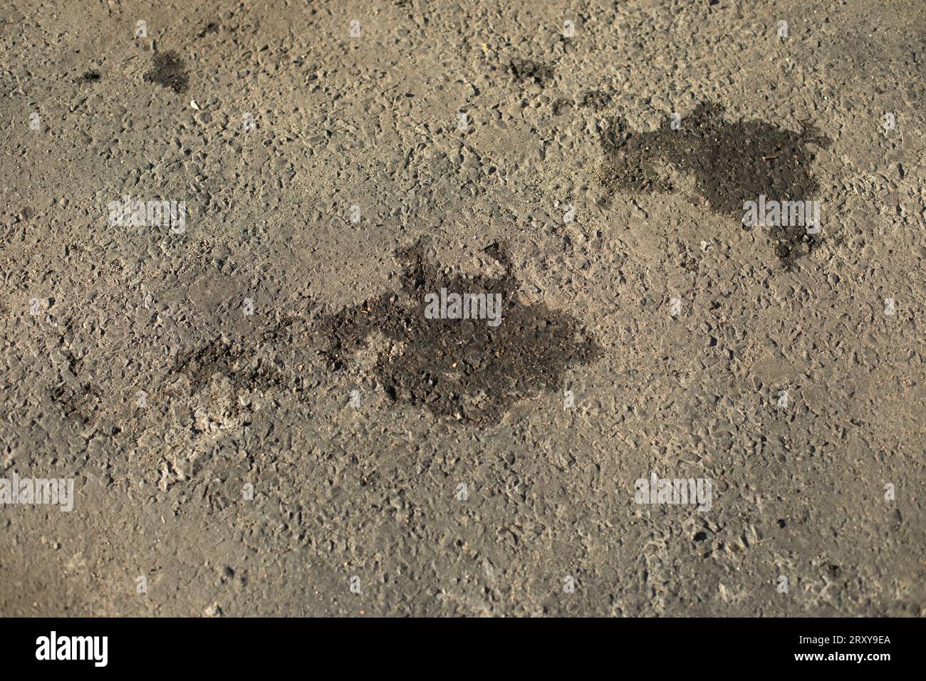 Wet spot on asphalt. Dried puddle on road. Wet spot. Dirty road surface ...