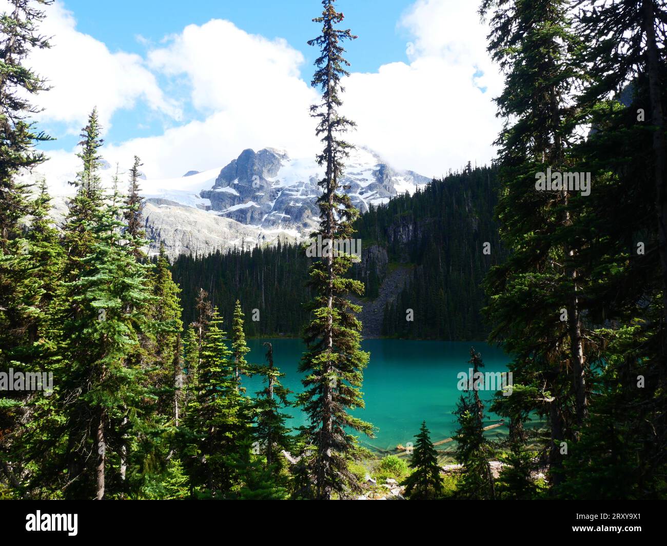 Garibaldi national park hi-res stock photography and images - Alamy