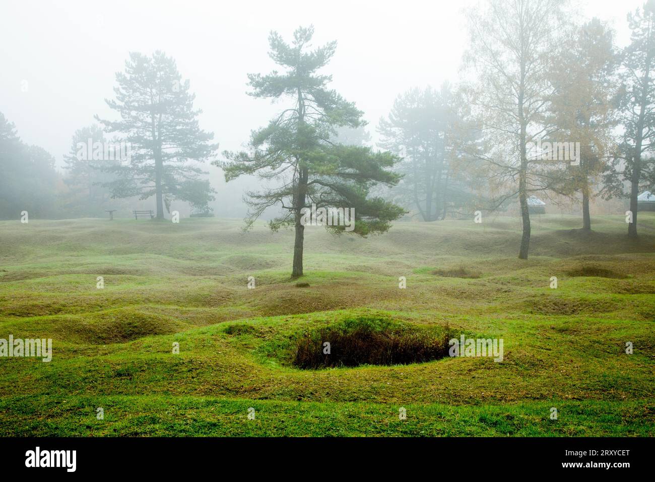 Bomb craters on the World War One battlefield of Douaumont, Verdun ...