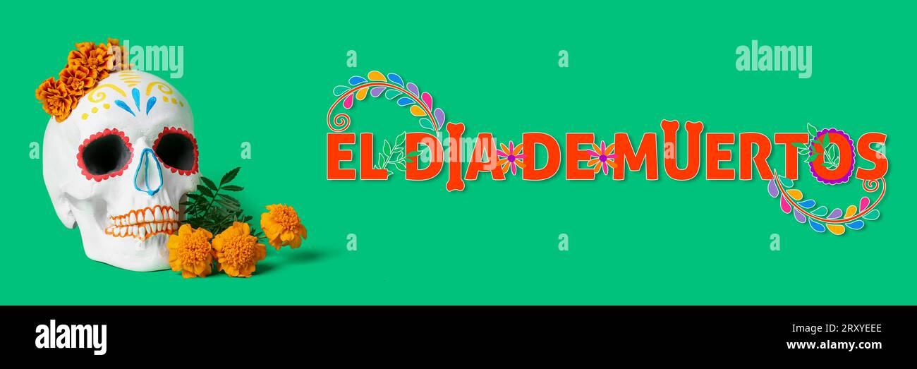 Painted human skull with flowers on green background. Banner for Mexico ...