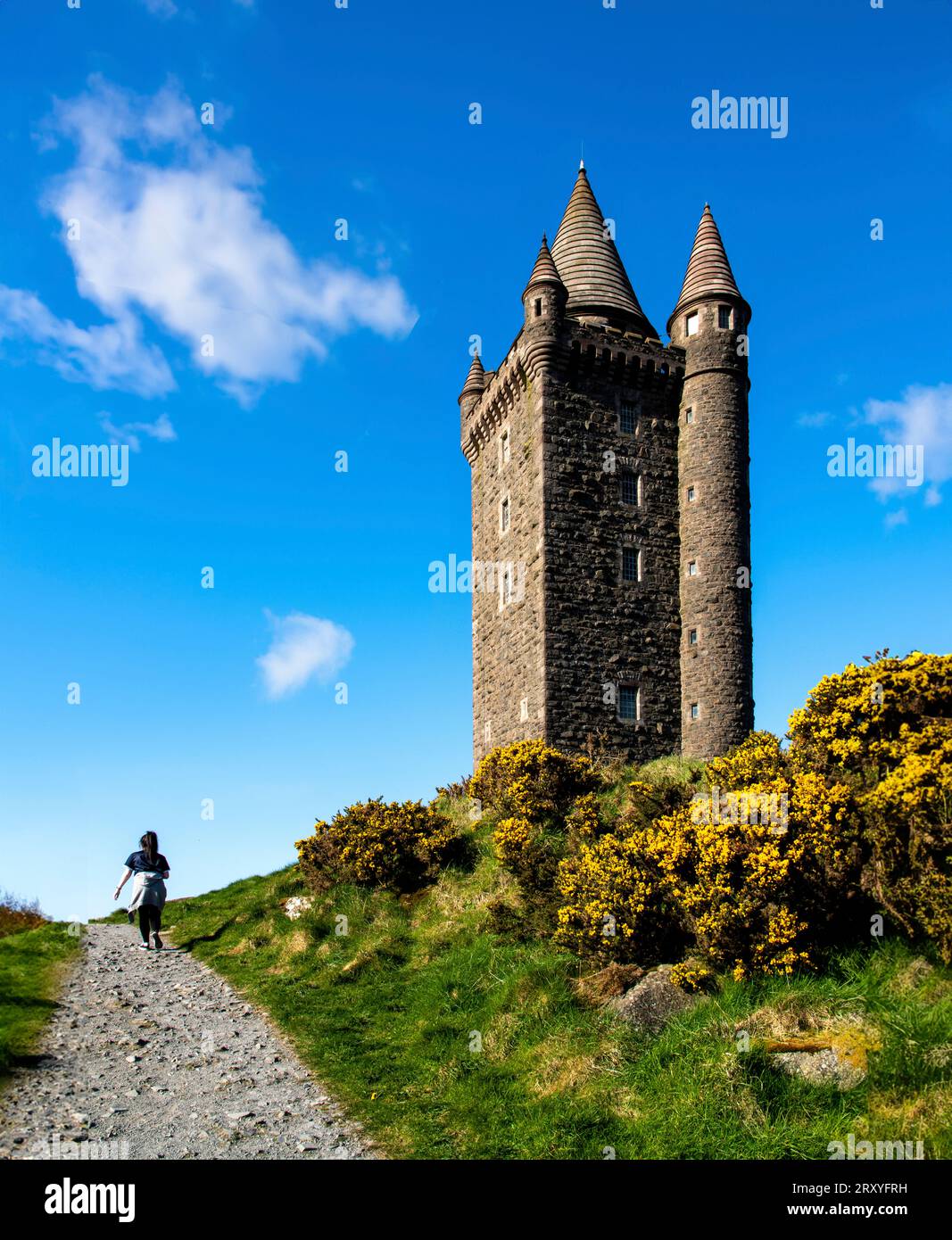 Scrabo tower hi-res stock photography and images - Alamy