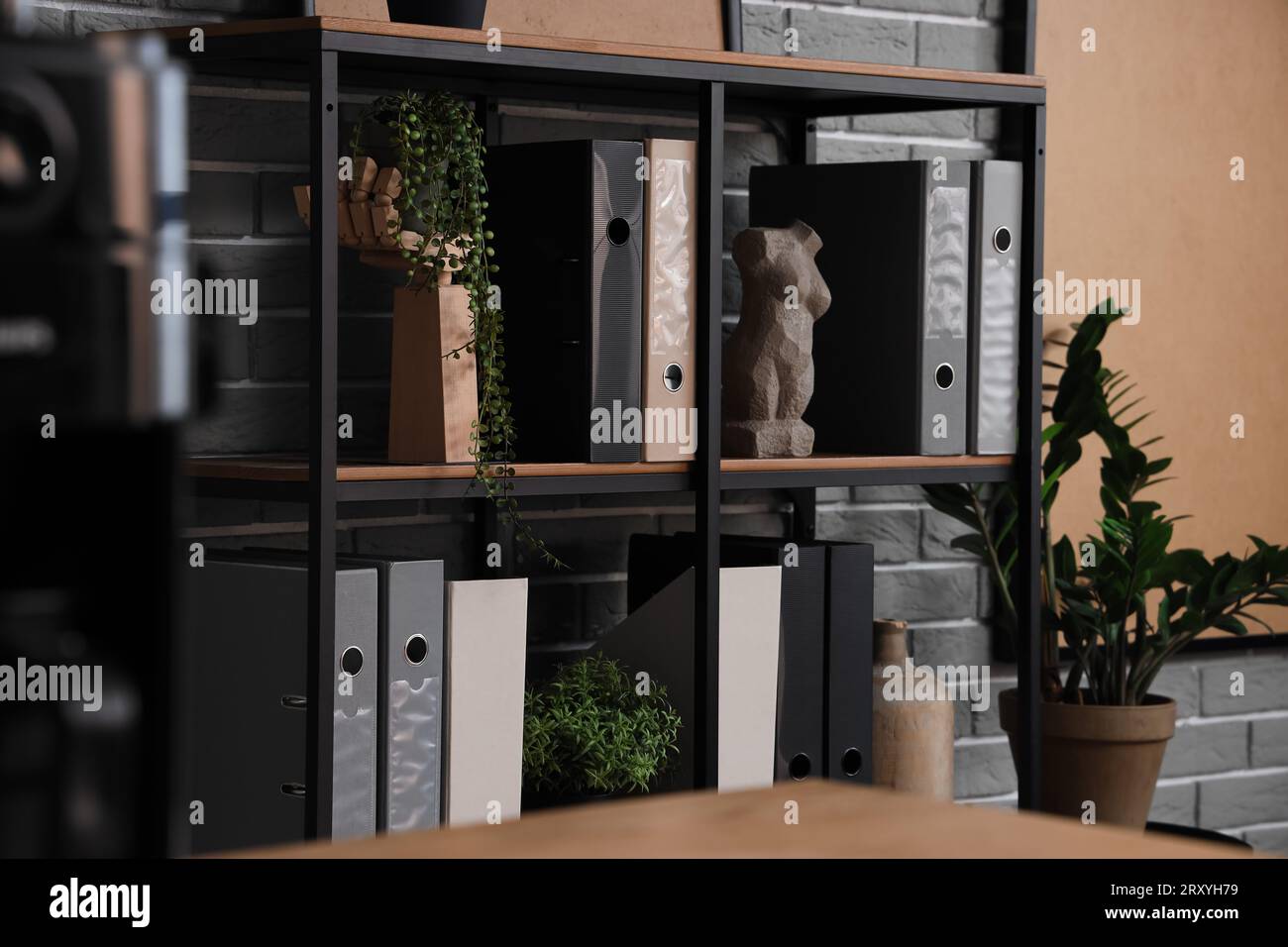 Shelf unit with document folders and plants in office Stock Photo - Alamy