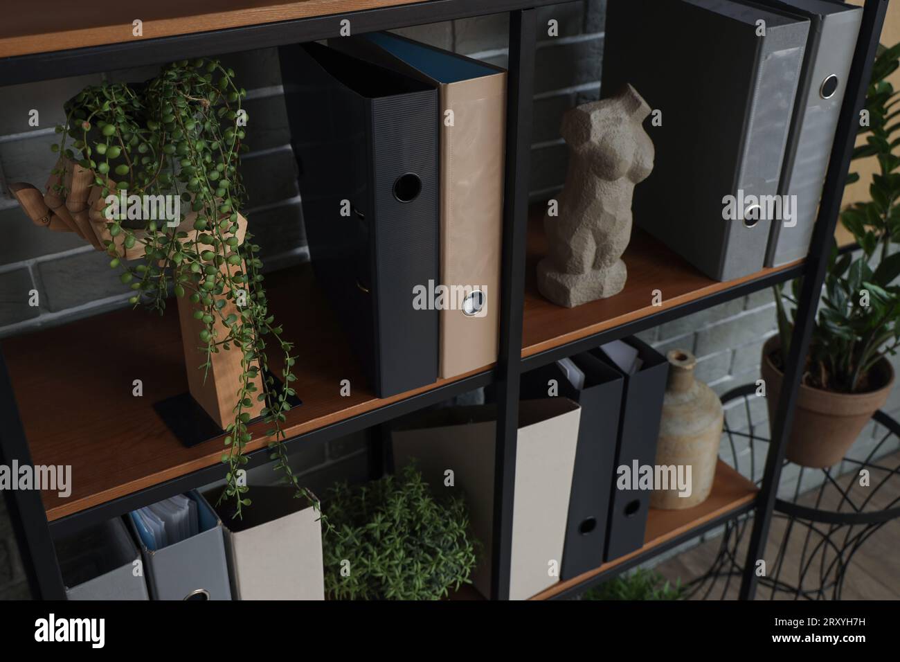 Home office shelf plants in hi-res stock photography and images - Alamy