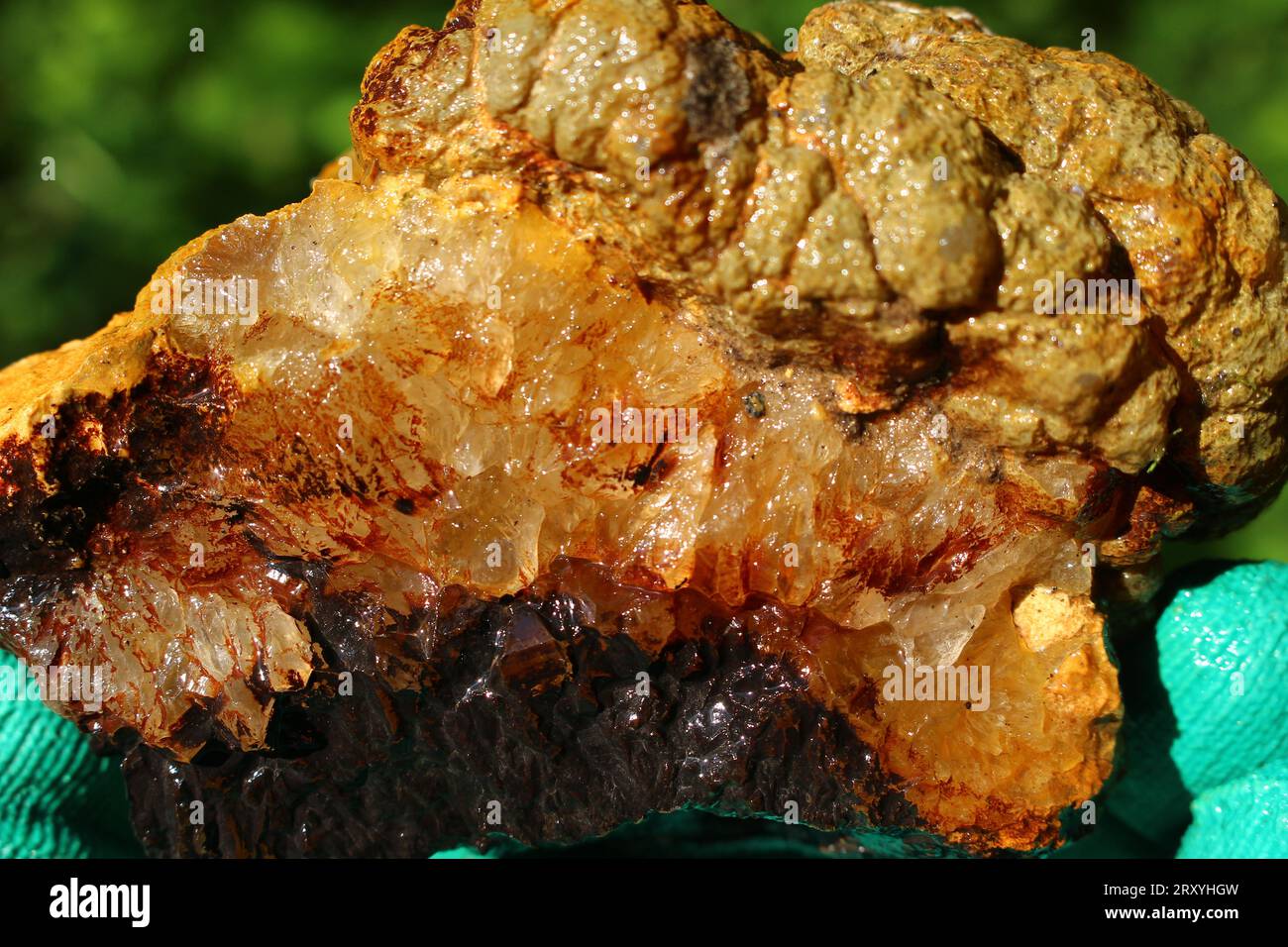 Nodule texture hi-res stock photography and images - Alamy