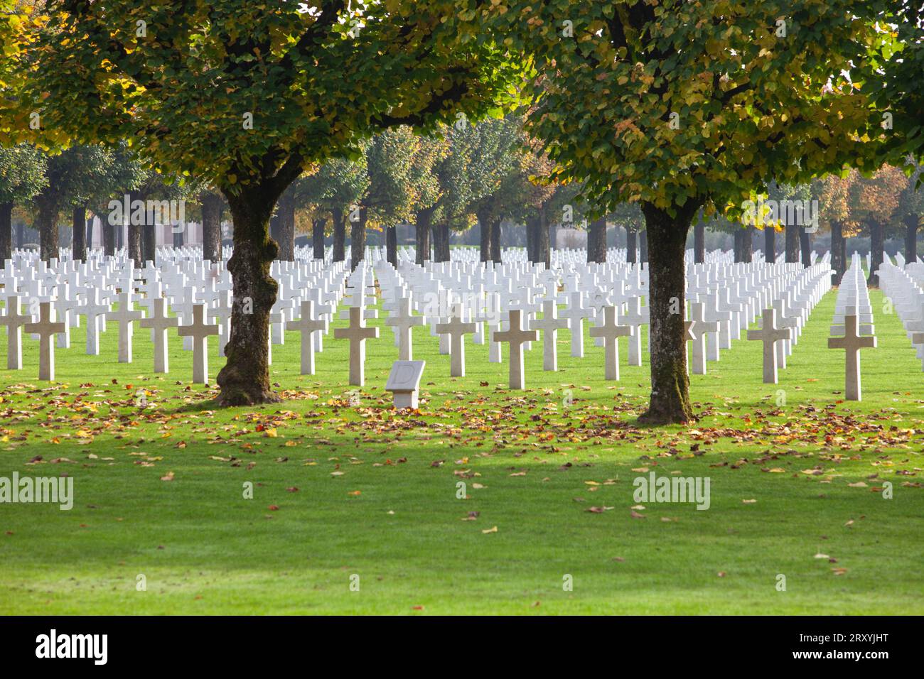 Rows of crosses on graves of American WWI soldiers at Romagne-sous ...