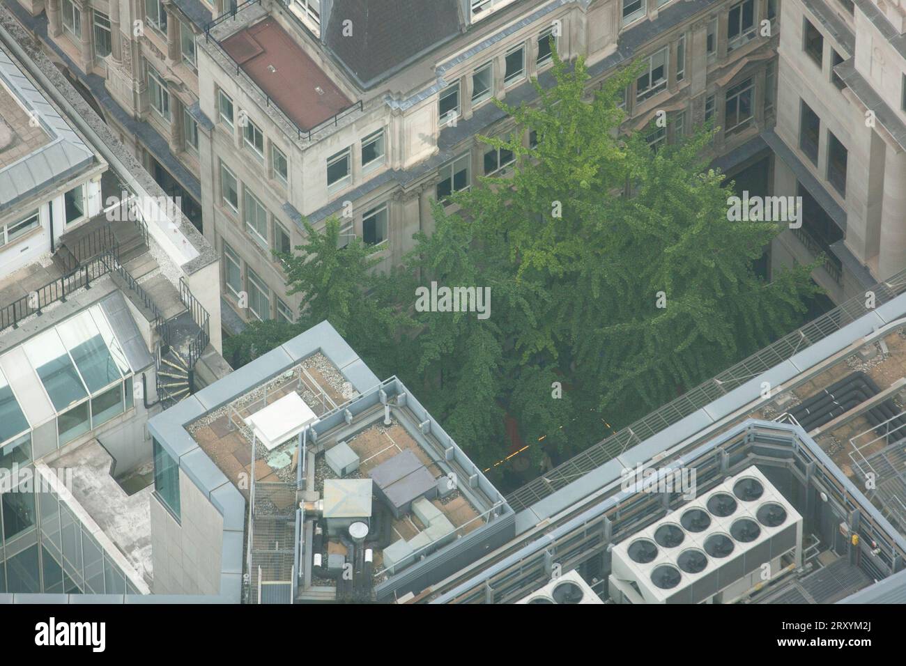 London, UK, 27 September 2023: Trees fill a small courtyard between ...