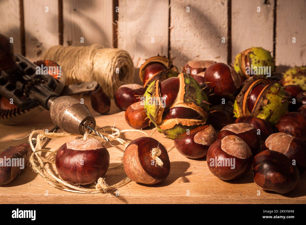 Game conkers hi-res stock photography and images - Alamy