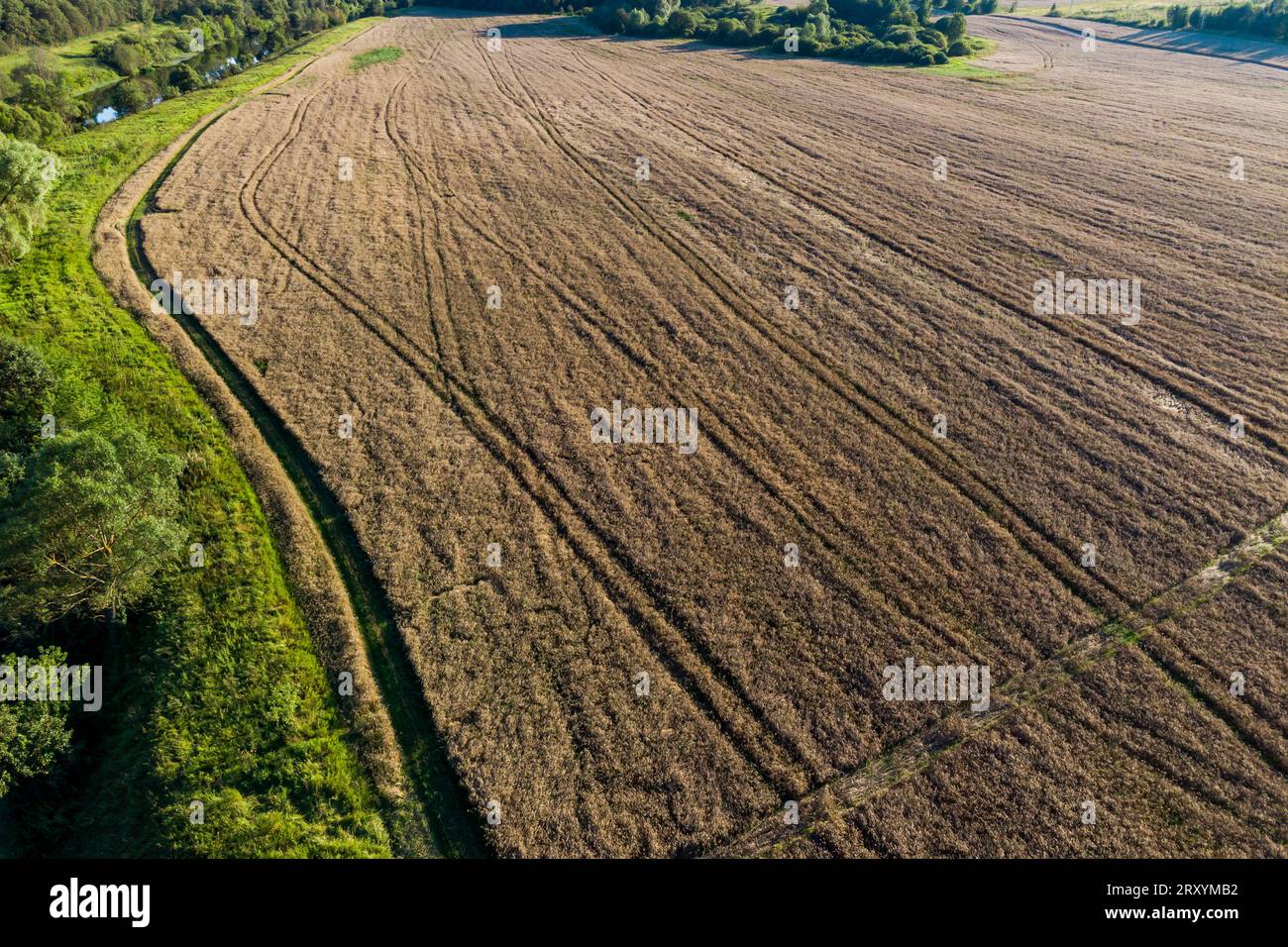 Aerial view of a farmer's field with crops. Agricultural field before ...