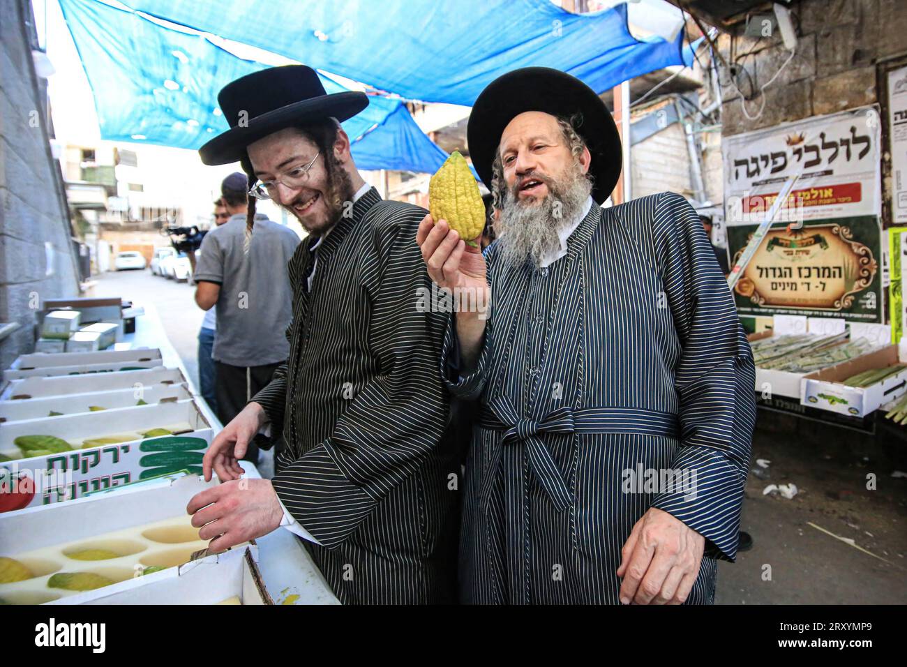 Orthodox Jewish man inspects an Etrog fruit, or a citron, used to ...