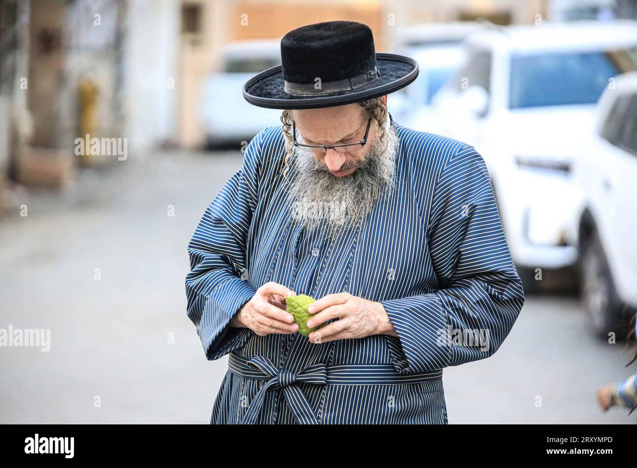 Etrog fruits hi-res stock photography and images - Alamy