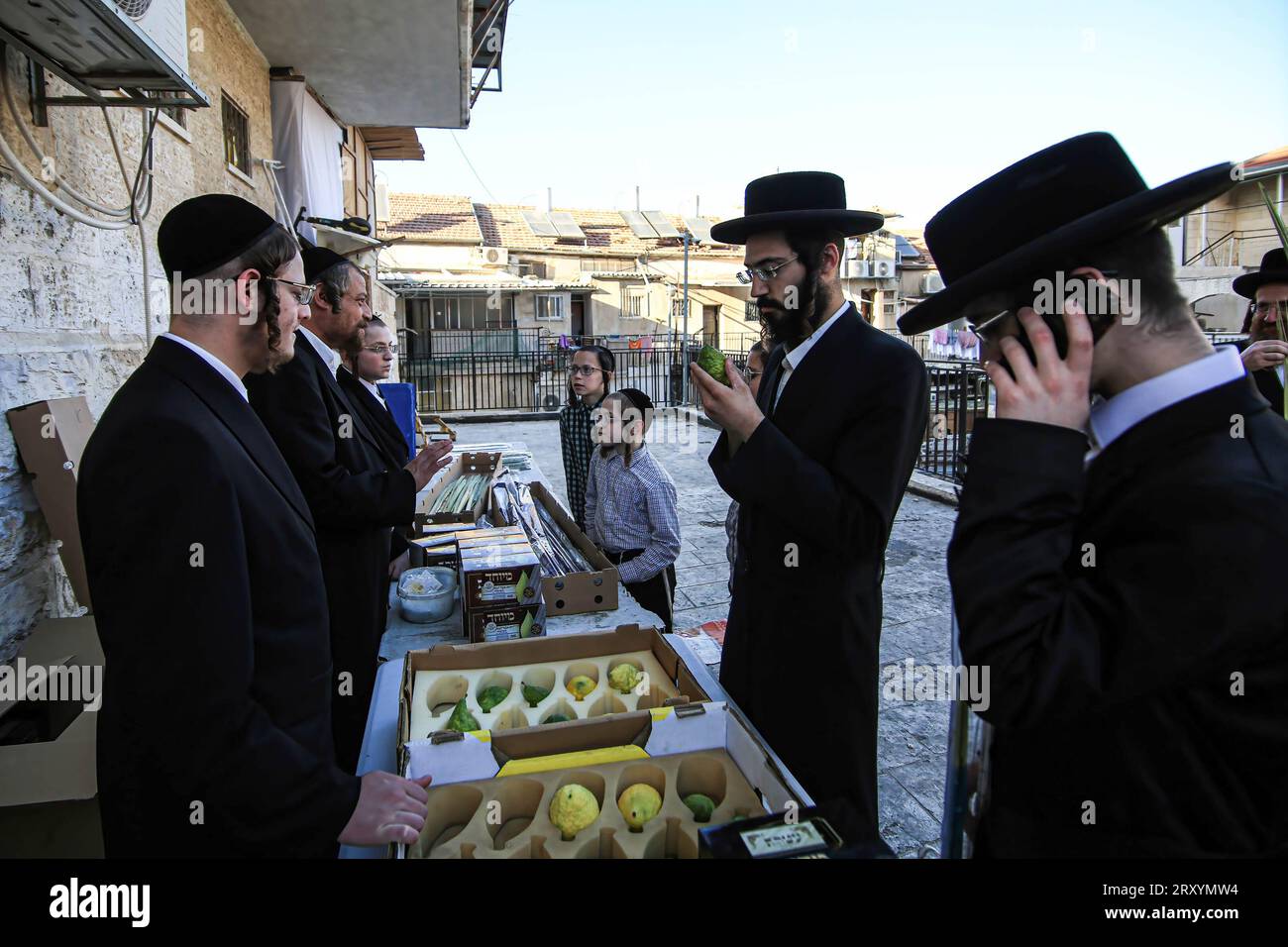 Orthodox Jewish men inspect Etrogs, or a citron, used to perform ...