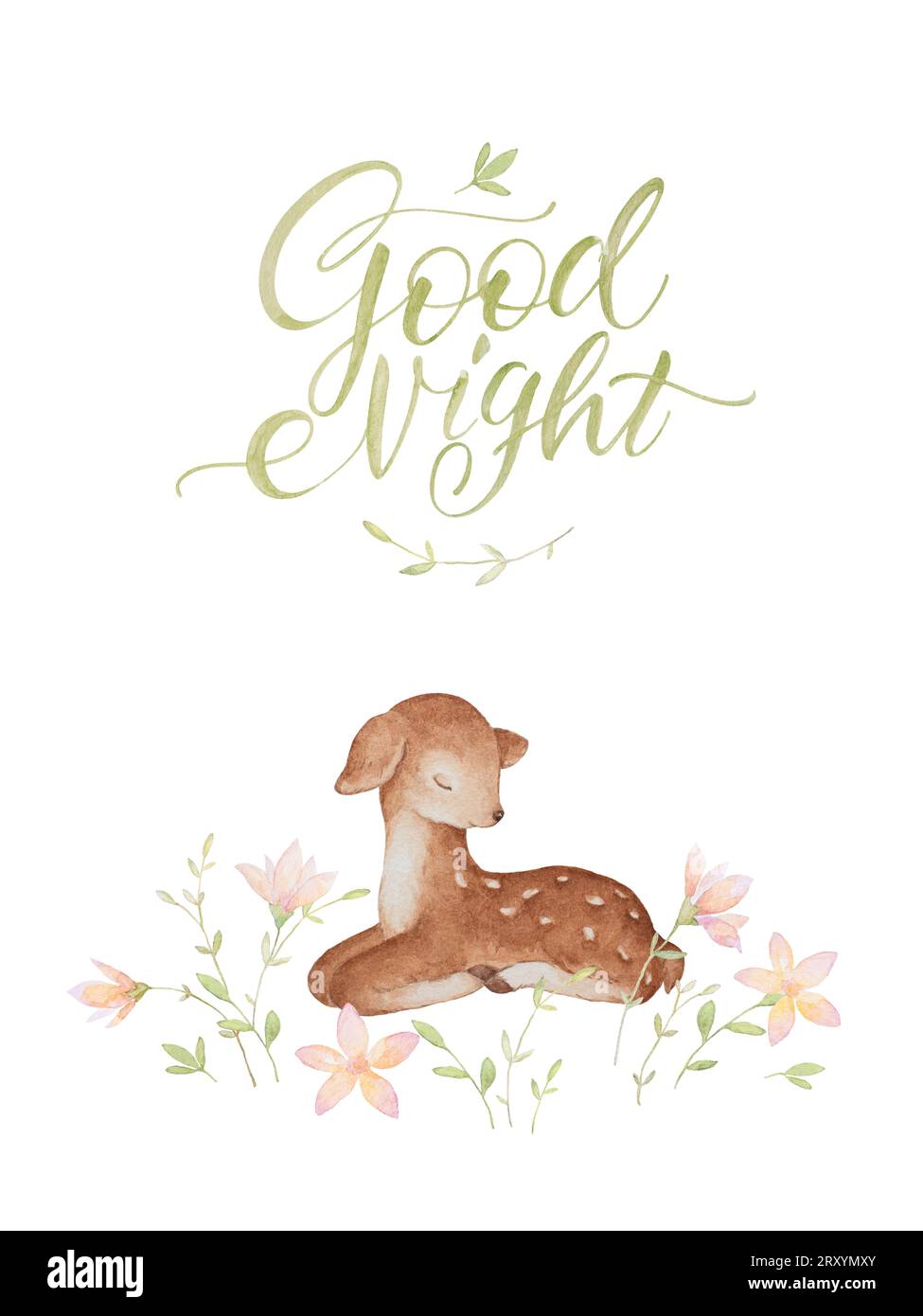 Little Deer Watercolor, Baby Animals Clipart, Baby Deer Watercolor ...