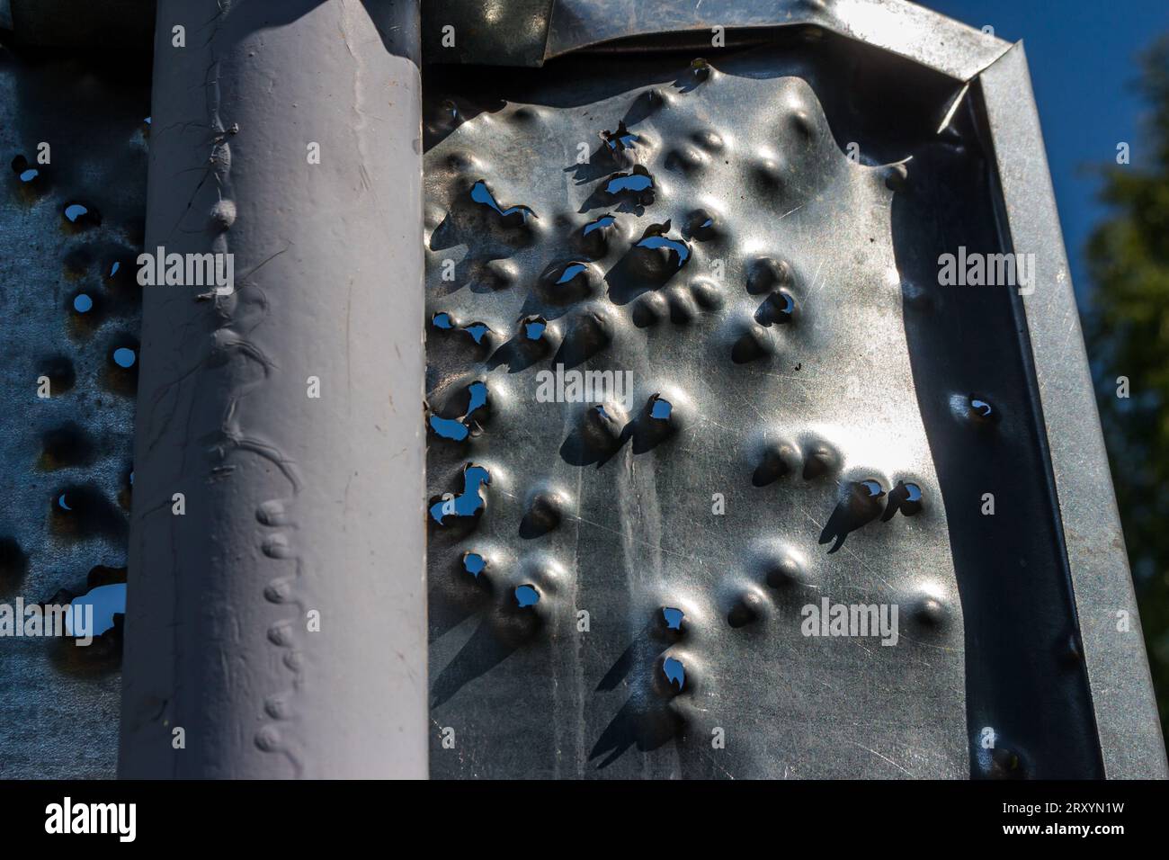 Metal shield shot from shotgun shot, exit holes in the metal Stock ...