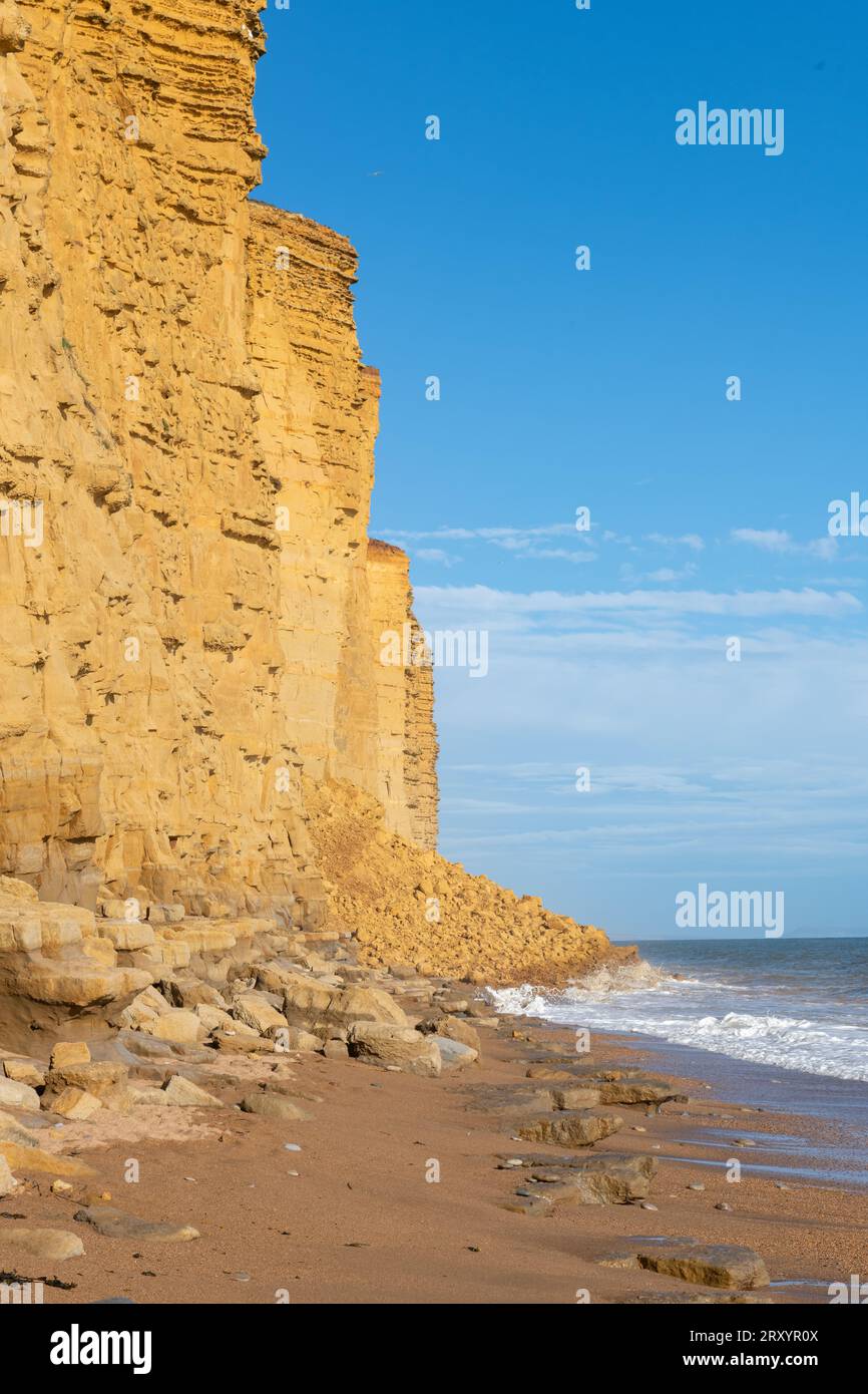 The landslide from August 2023 on the East cliff at West Bay on the ...