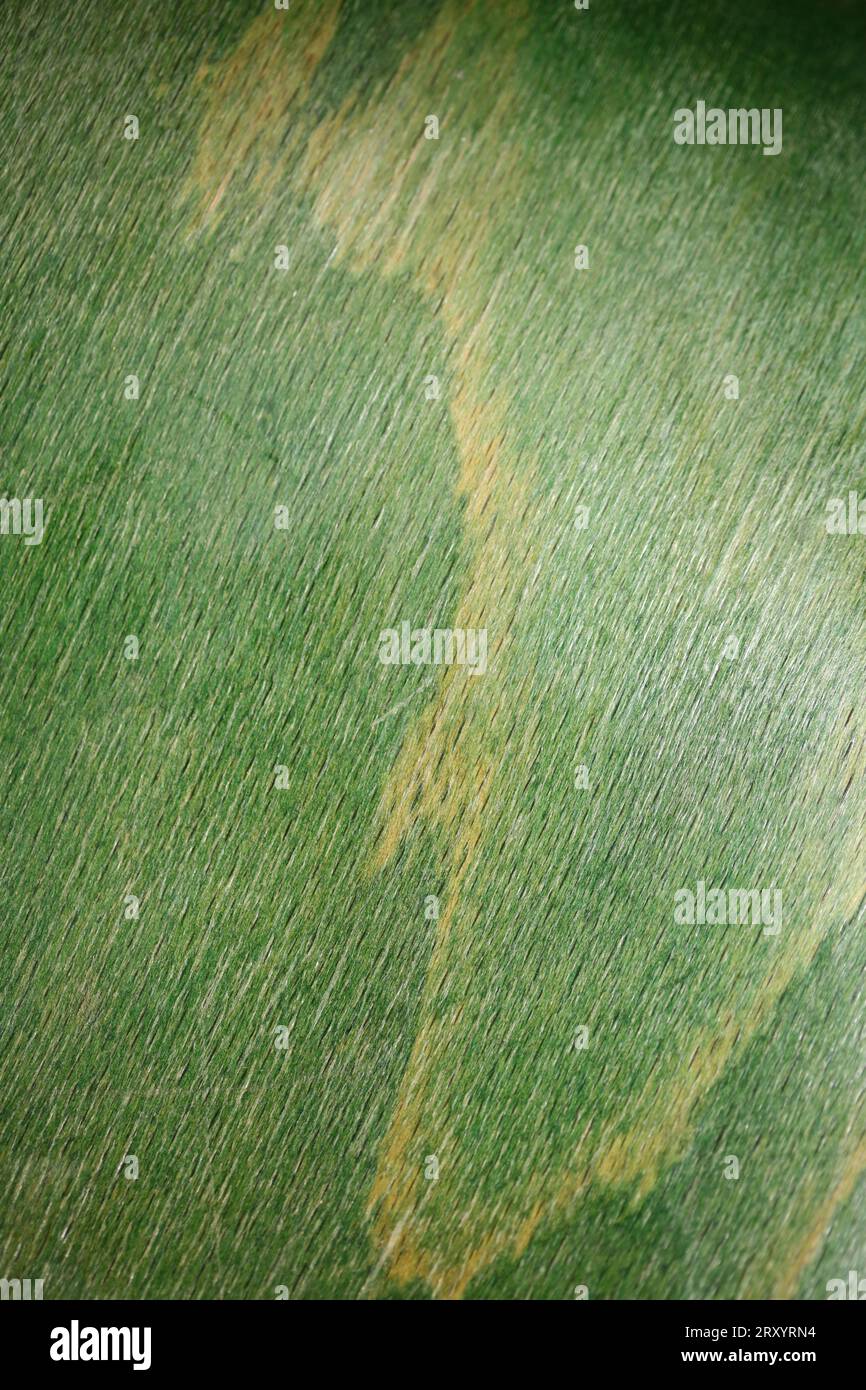 Indoor professional gala hi-res stock photography and images - Alamy