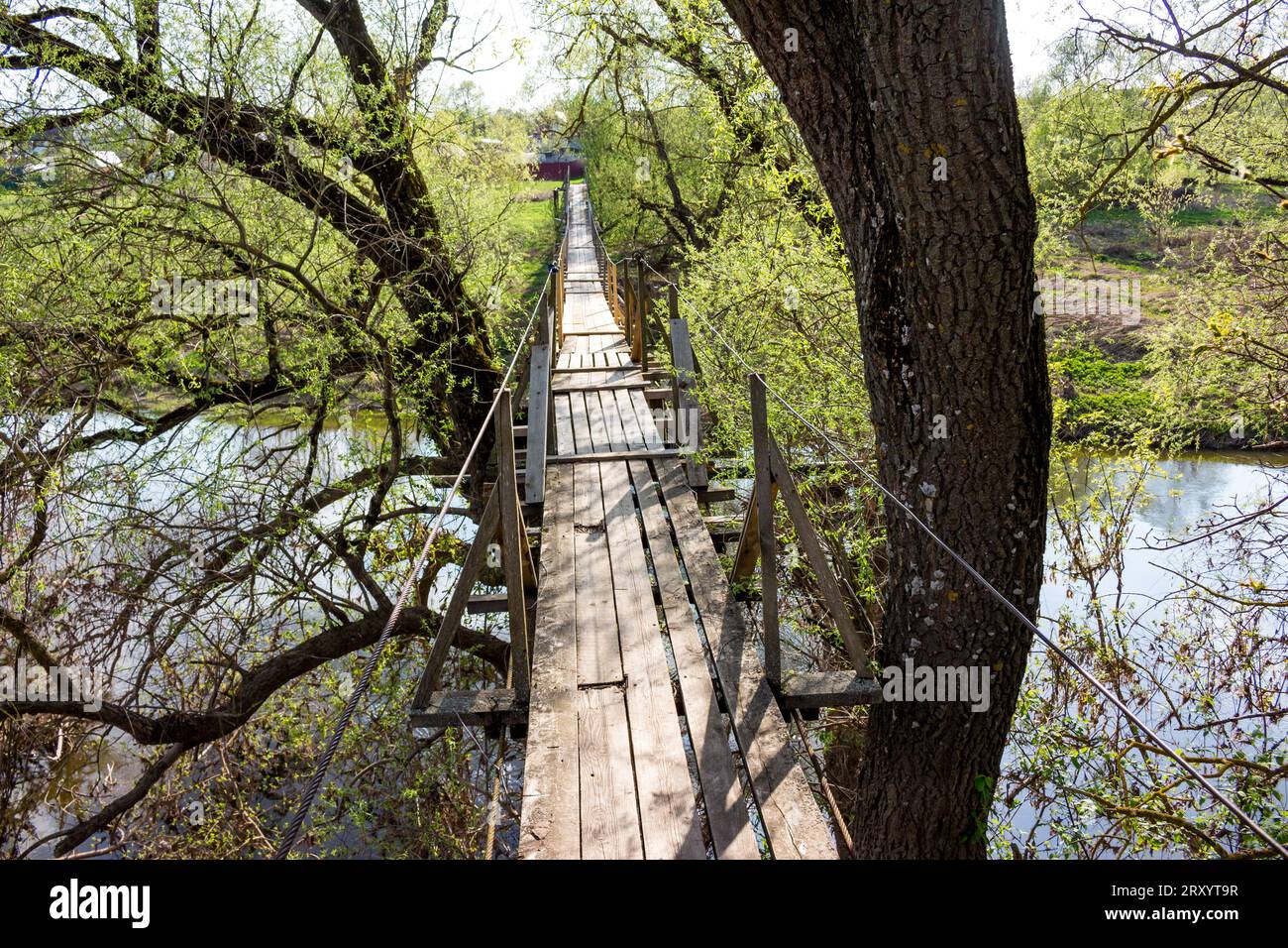 Pedestrian suspension bridge through trees in the countryside Stock ...