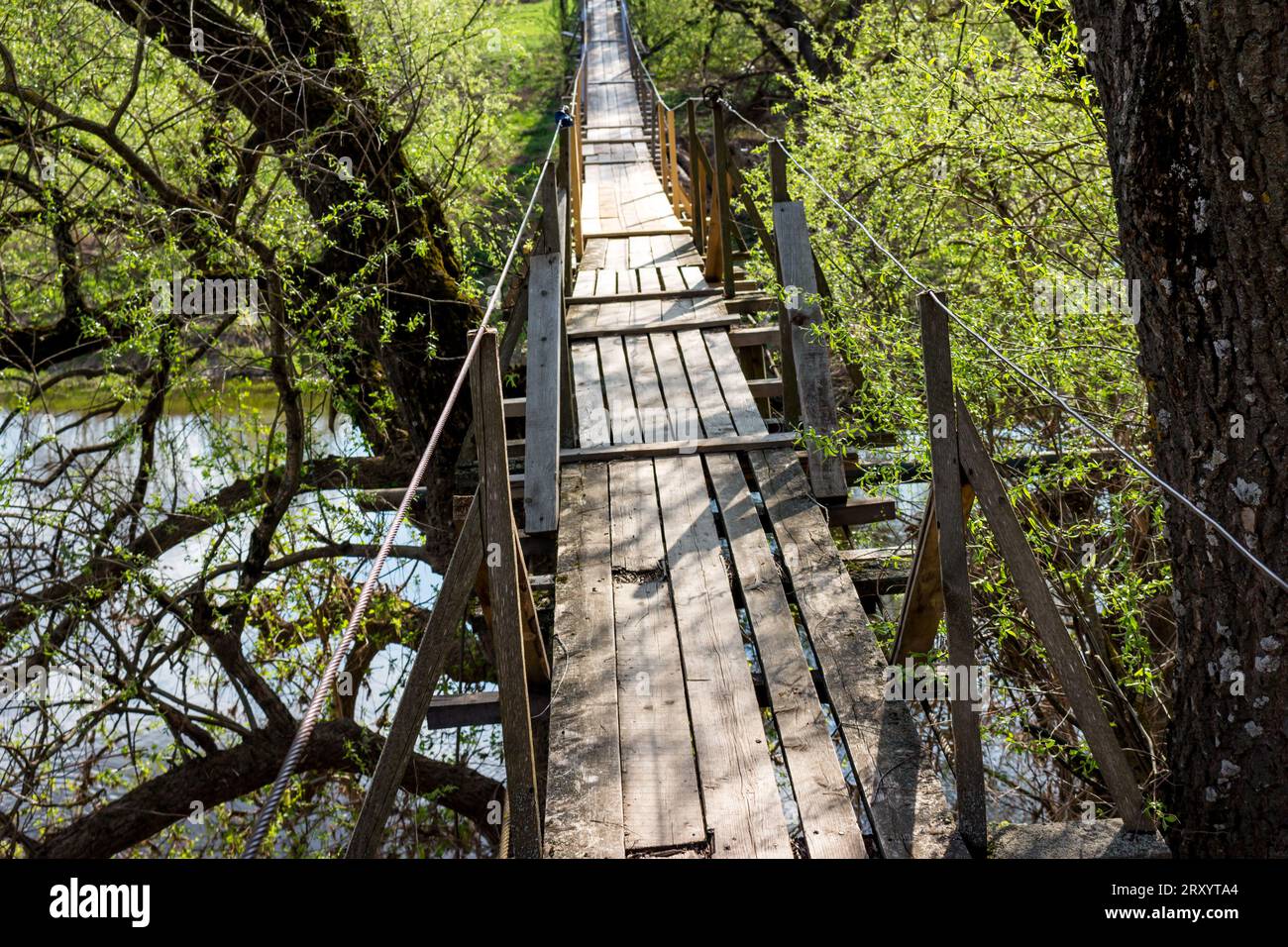 Pedestrian suspension bridge through trees in the countryside Stock ...