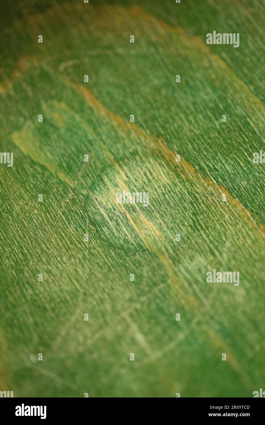 Indoor professional gala hi-res stock photography and images - Alamy