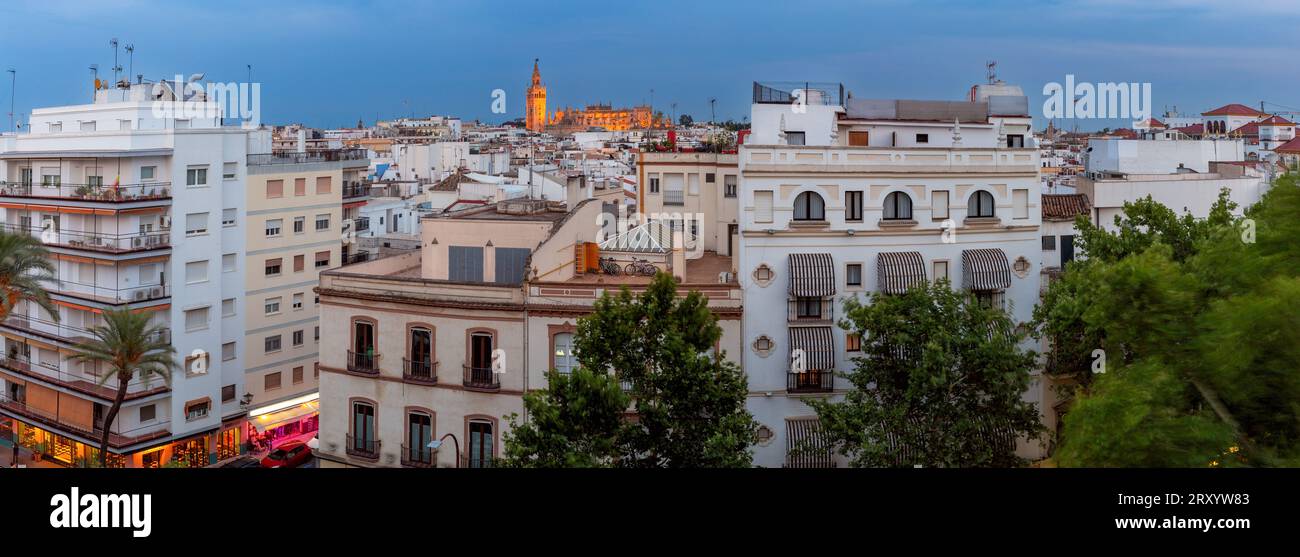 Scenic view of Seville Cathedral and Giralda tower at sunset. Seville ...