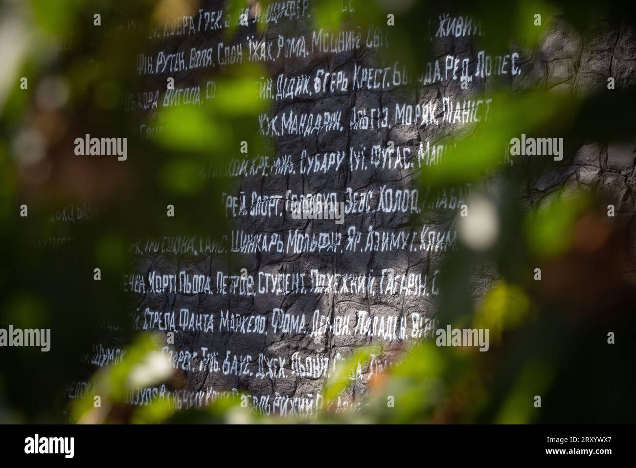 Azov assault brigade hi-res stock photography and images - Alamy