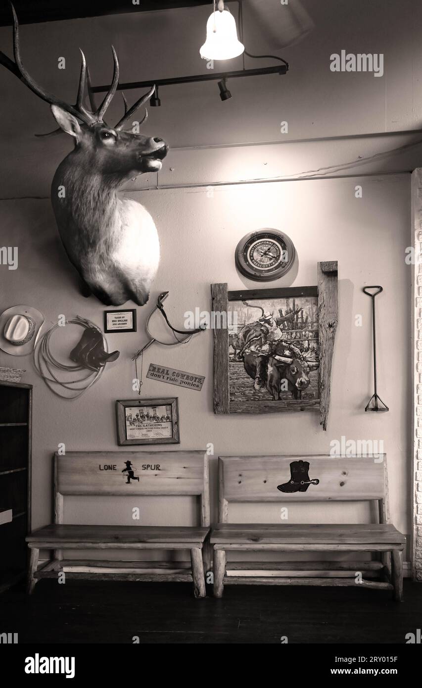 Parlor of the Lone Spur cafe with wooden benches, rodeo art and a deer ...