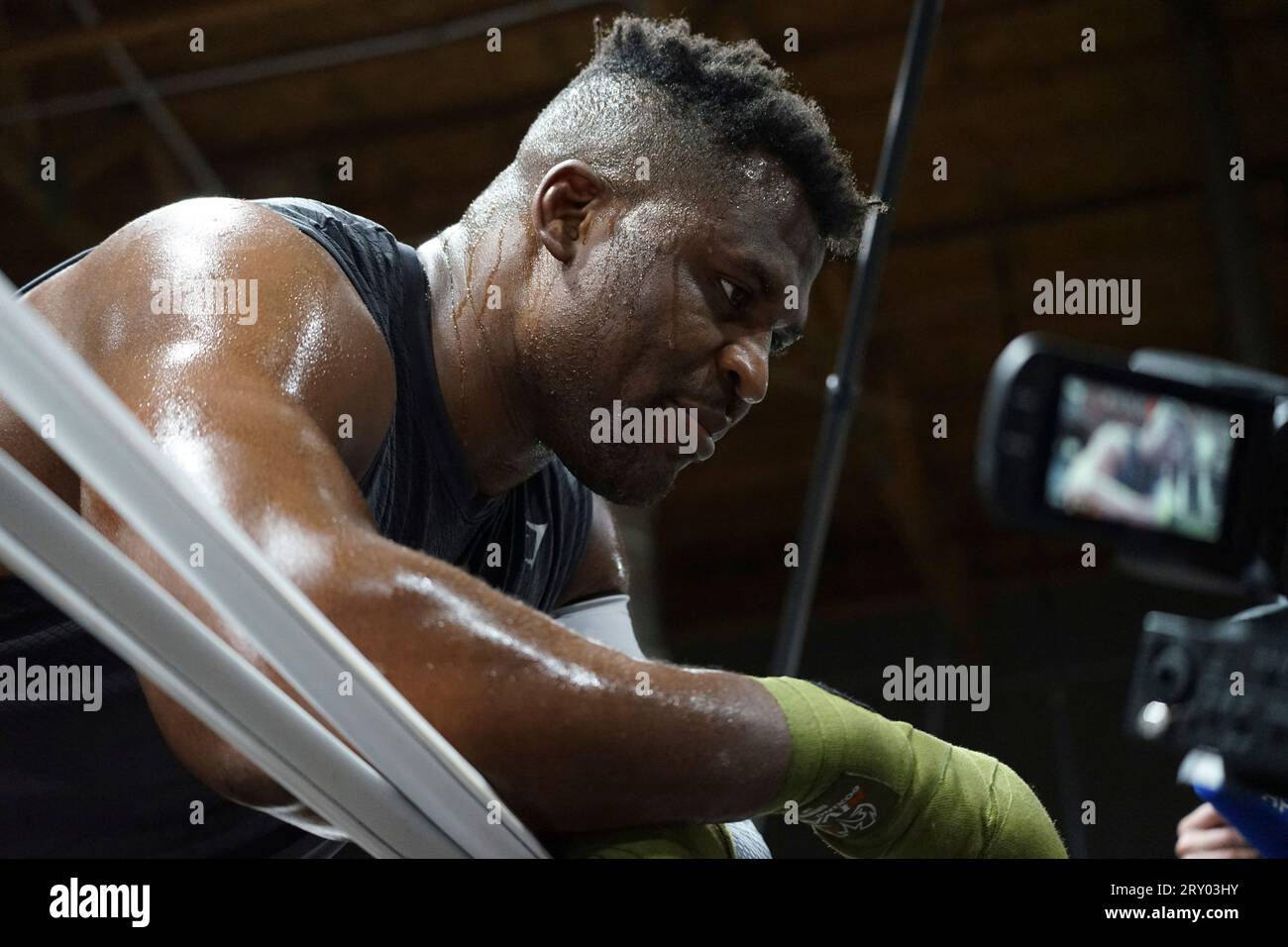 LAS VEGAS, NV - SEPTEMBER 26: Francis Ngannou trains with coaches Mike ...
